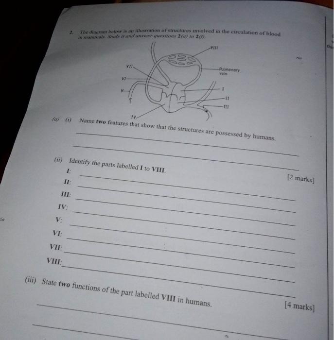 Solved (a) (i) Name two features that show that the | Chegg.com