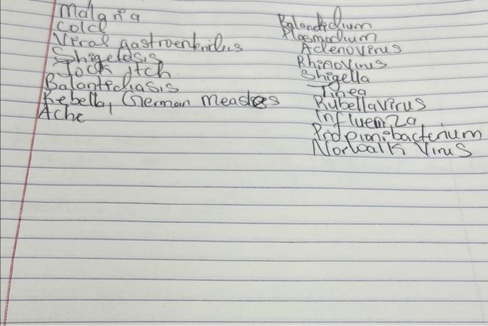 Solved Malg n∘a colal | Chegg.com