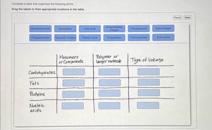 Solved Complete a table that organizes the following terms. | Chegg.com