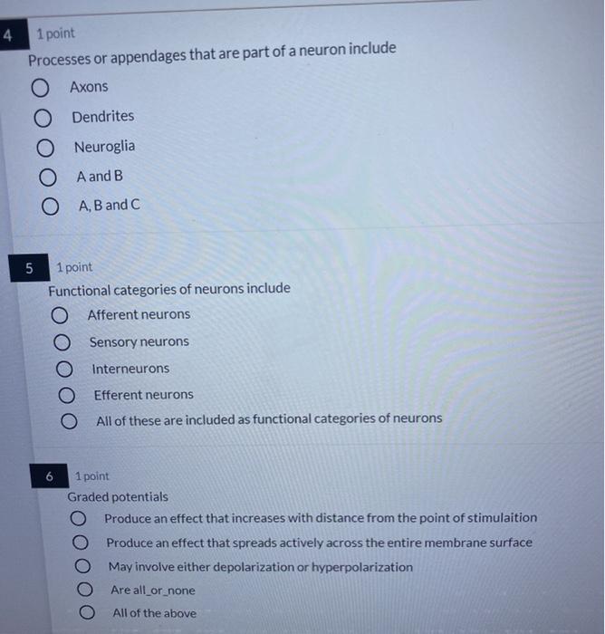 Solved 1 1 point When an adequate stimulus is applied to an | Chegg.com