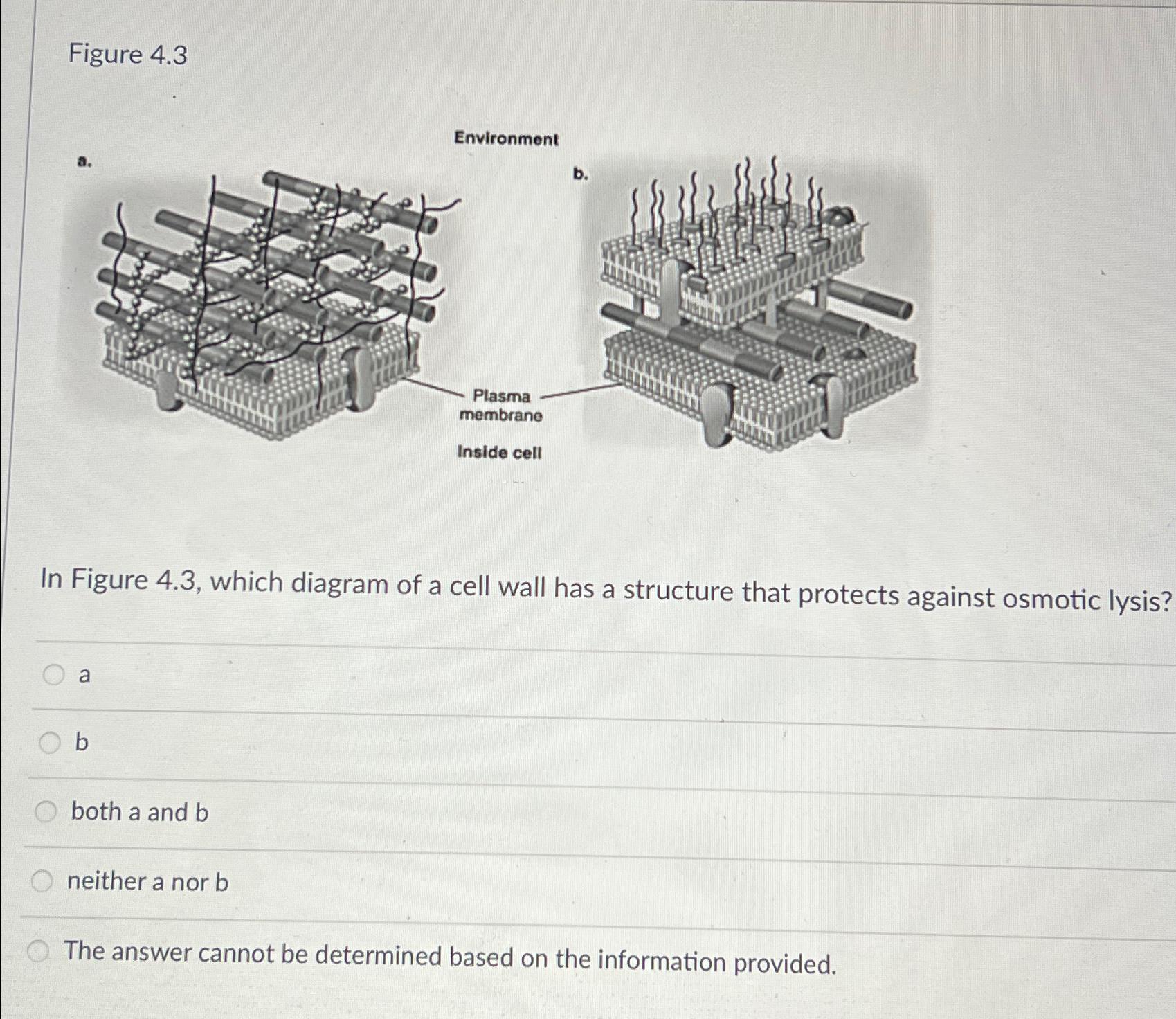 Solved Figure 4.3In Figure 4.3, ﻿which diagram of a cell | Chegg.com
