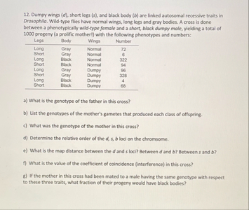 Solved Dumpy wings ( d ), ﻿short legs ( s ), ﻿and black body | Chegg.com