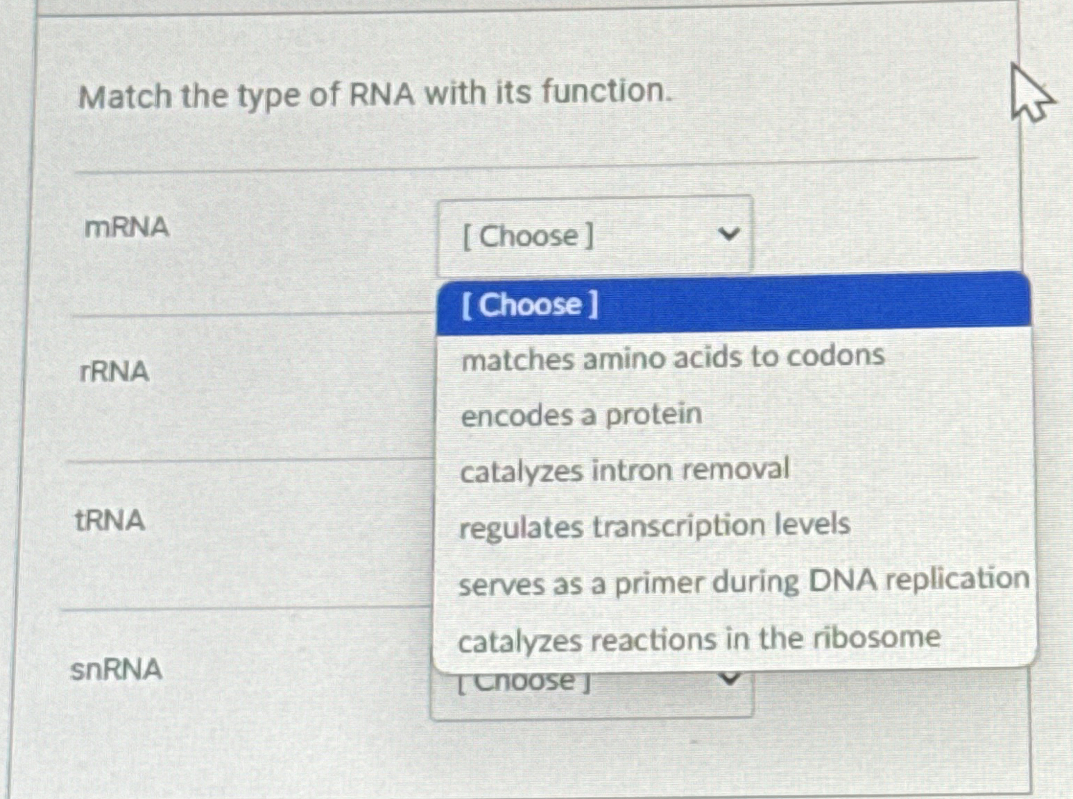 Solved Match the type of RNA with its | Chegg.com