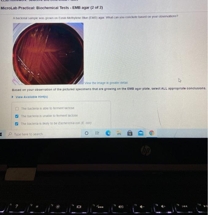 Solved MicroLab Practical: Biochemical Tests - EMB agar (2 | Chegg.com