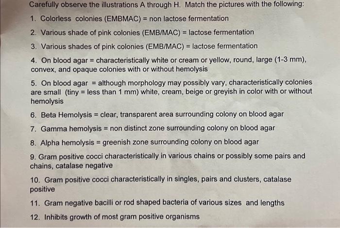 Solved Carefully observe the illustrations A through H. | Chegg.com