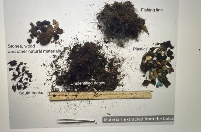 Solved View the photos to gather information regarding the | Chegg.com