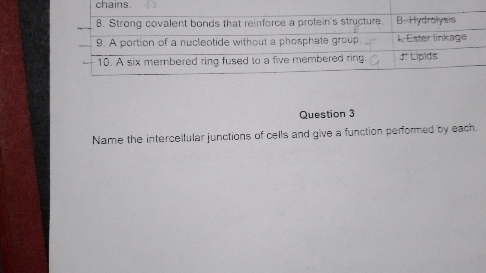 Solved Question 3 Name the intercellular junctions of cells | Chegg.com