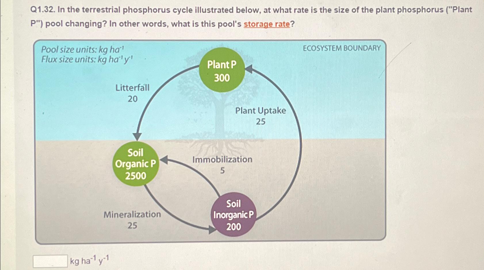 Solved Q1.32. ﻿In the terrestrial phosphorus cycle | Chegg.com
