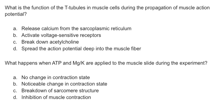What is the function of the T-tubules in muscle cells | Chegg.com