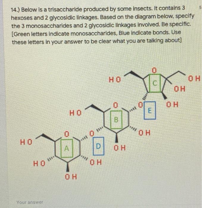 Solved 14.) Below is a trisaccharide produced by some | Chegg.com