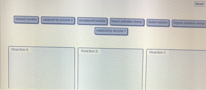 Solved Part B The graph shows three reaction pathways for | Chegg.com