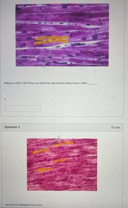Solved Adjacent cells in this tissue are joined by | Chegg.com