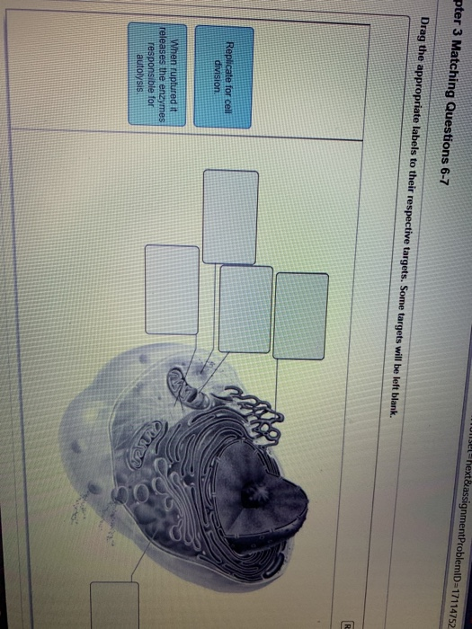 Solved Mosel-hext&assignment ProblemlD=17114752 pter 3 | Chegg.com Solved Mosel-hext&assignment ProblemlD=17114752 pter 3 | Chegg.com