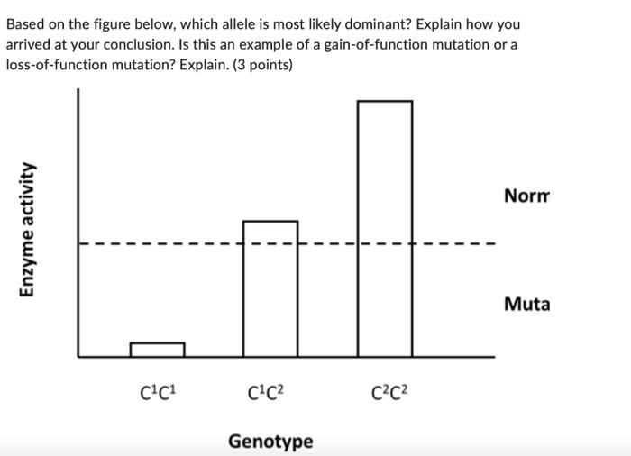 Solved Based on the figure below, which allele is most | Chegg.com