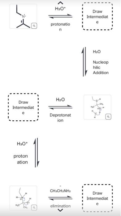 Solved protonatio Draw Intermediat e n Draw H2O Intermediat | Chegg.com
