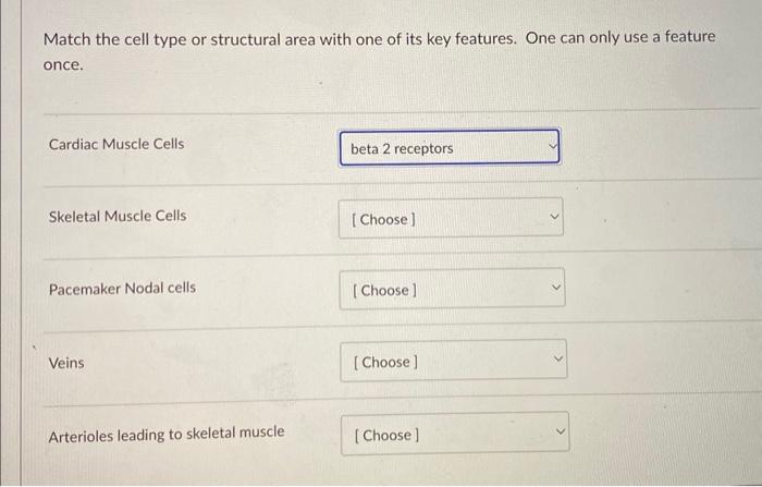 Solved Match the cell type or structural area with one of | Chegg.com
