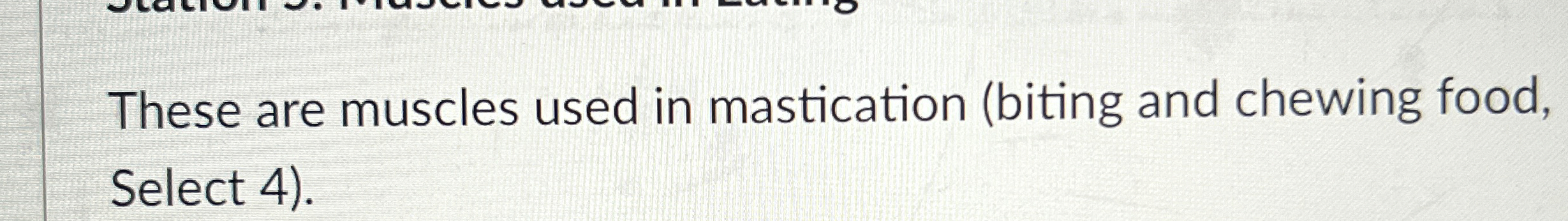 Solved These are muscles used in mastication (biting and | Chegg.com