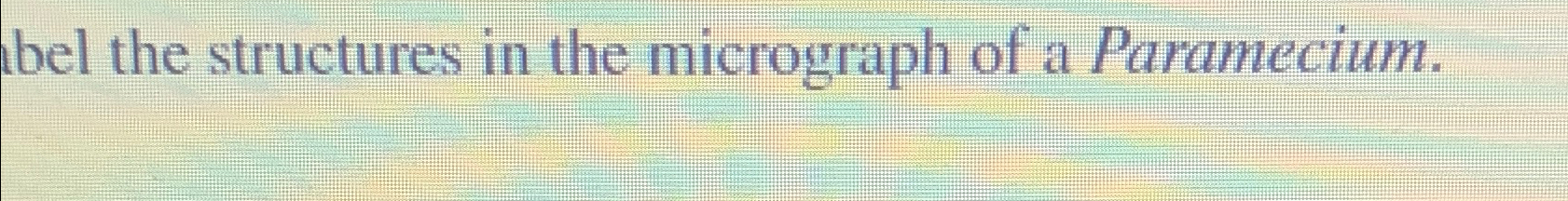 Solved thel the structures in the micrograph of a | Chegg.com