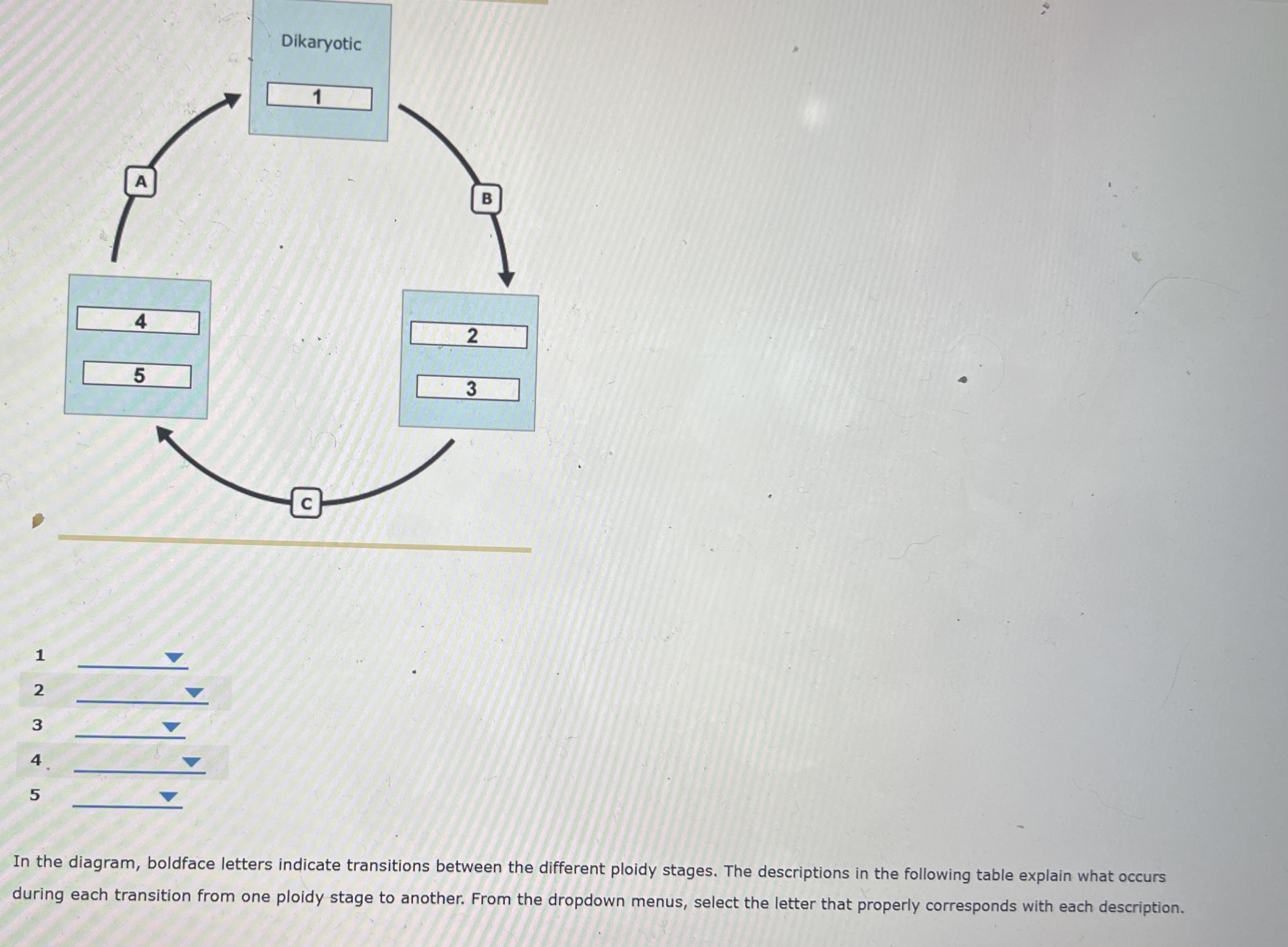 Solved 12345In the diagram, boldface letters indicate | Chegg.com