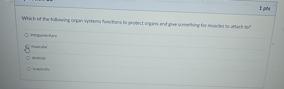 Solved Which of the following organ systems functions to | Chegg.com