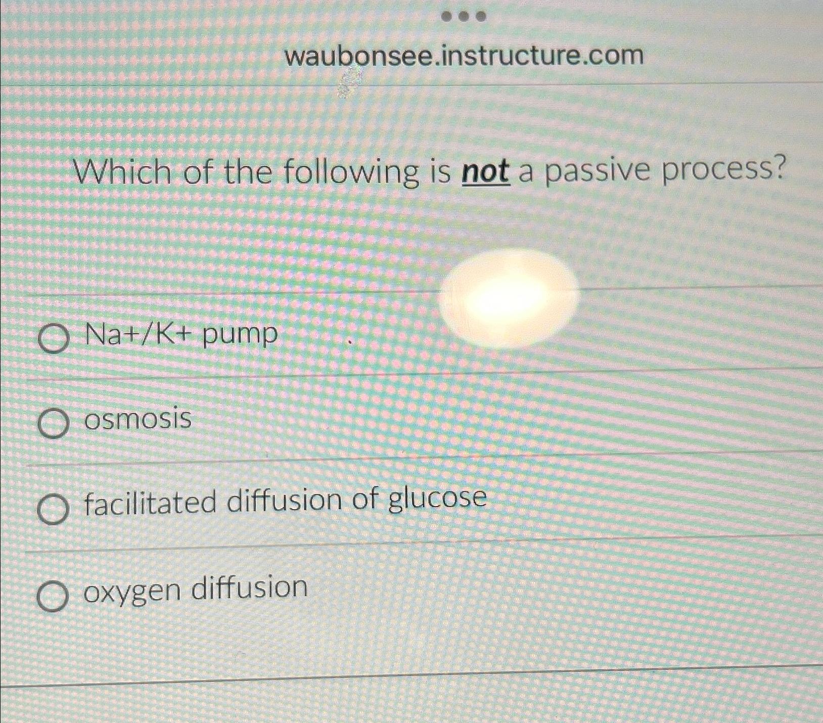 Solved waubonsee.instructure.comWhich of the following is | Chegg.com