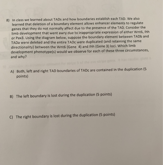 8) In class we learned about TADs and how boundaries | Chegg.com