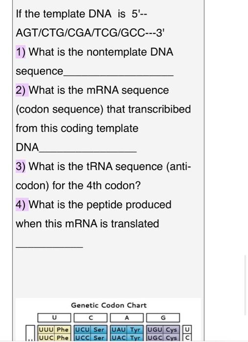 Solved If the template DNA is 5 '-- AGT/CTG/CGA/TCG/GCC---3' | Chegg.com