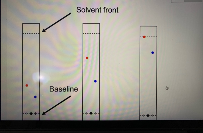 Solved Solvent front Baseline Solvent front Baseline FE - | Chegg.com