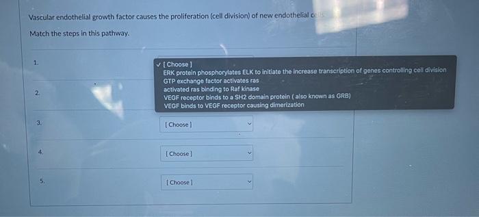 Solved Vascular endothelial growth factor causes the | Chegg.com