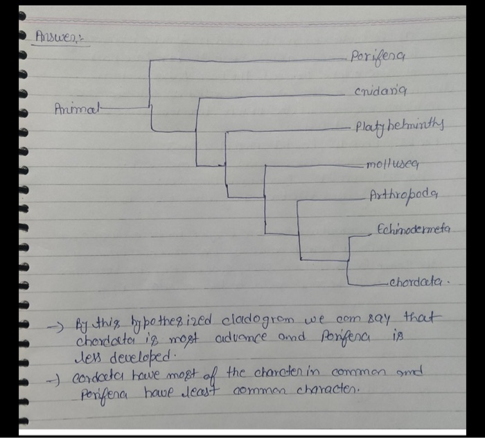 Solved Using the tree you drew, give an example of | Chegg.com
