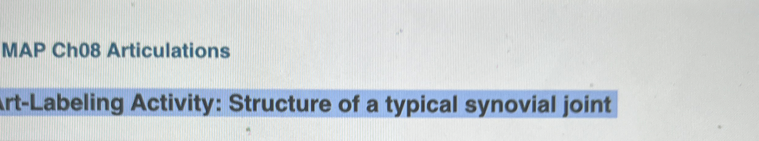 Solved MAP Ch08 ﻿Articulationsrt-Labeling Activity: | Chegg.com