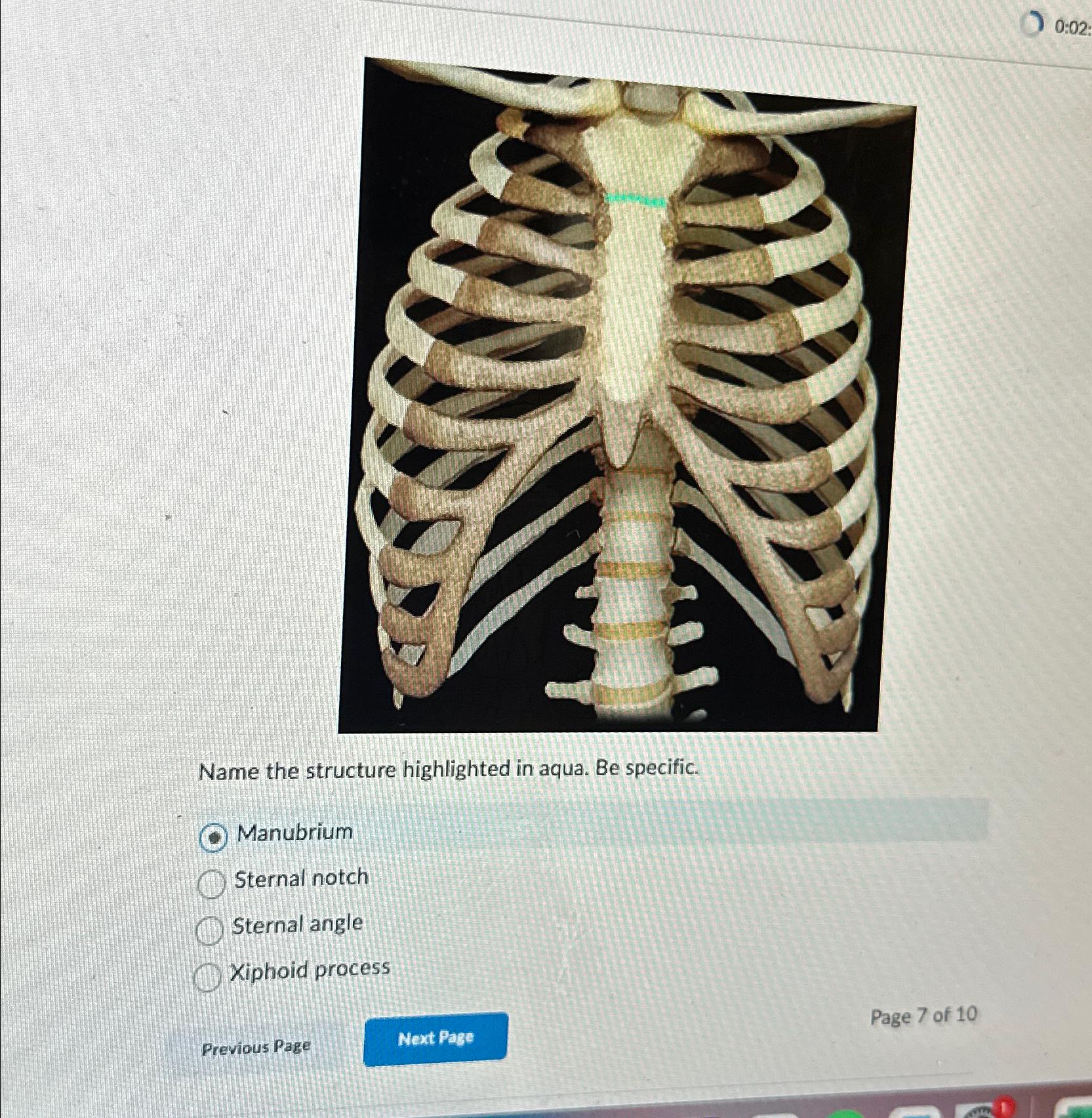 Solved Name the structure highlighted in aqua. Be | Chegg.com