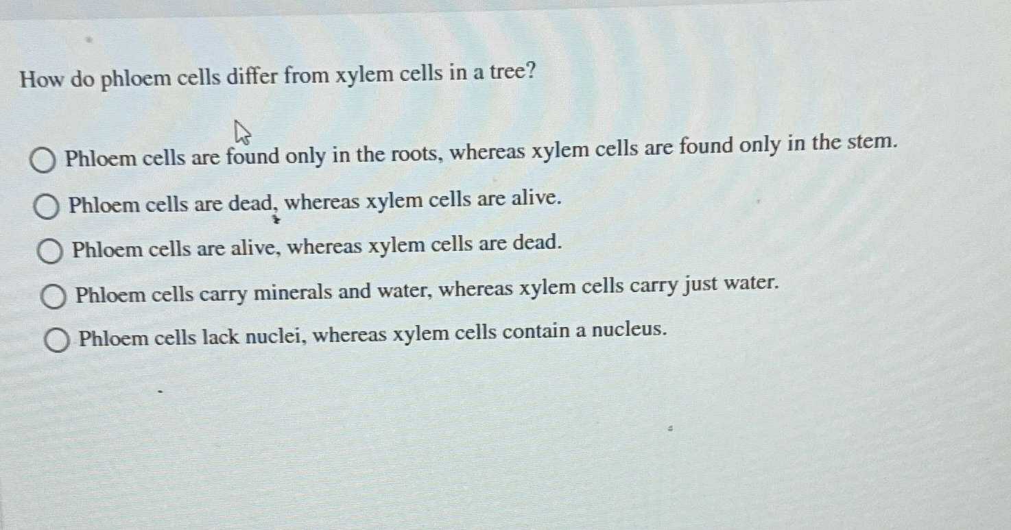 Solved How do phloem cells differ from xylem cells in a | Chegg.com