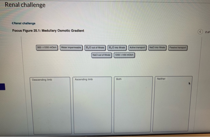 Solved Renal challenge (Renal challenge Focus Figure 25.1: | Chegg.com