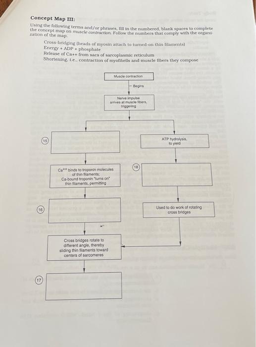 Solved Concept Map III: Using the following terms and/or | Chegg.com
