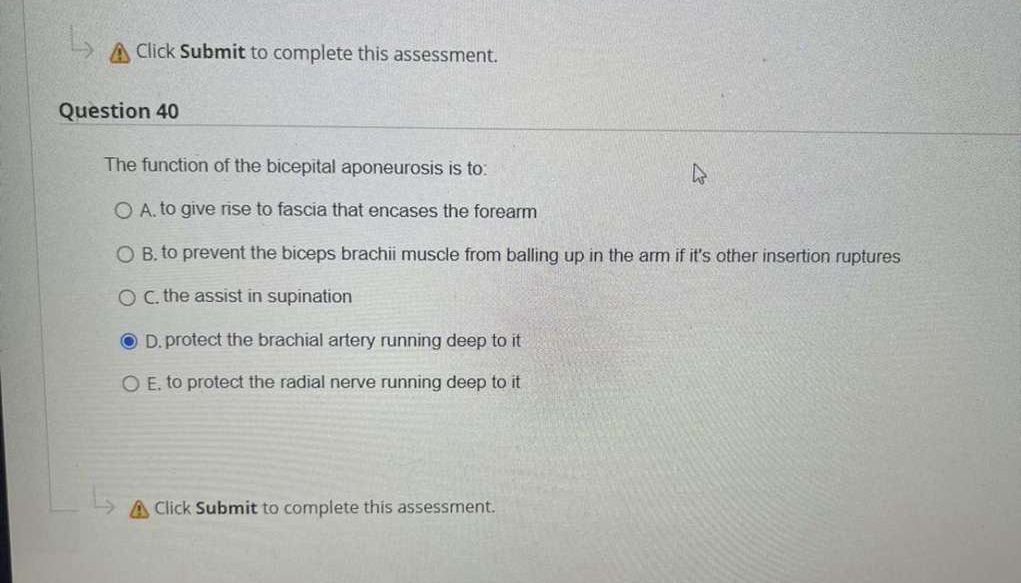 Solved Click Submit to complete this assessment.Question | Chegg.com