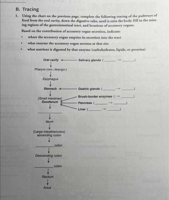 Solved B. Tracing 1. Using the chart on the previous page, | Chegg.com