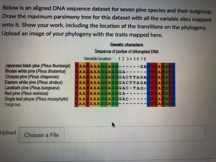 Solved Below is an aligned DNA sequence dataset for seven | Chegg.com