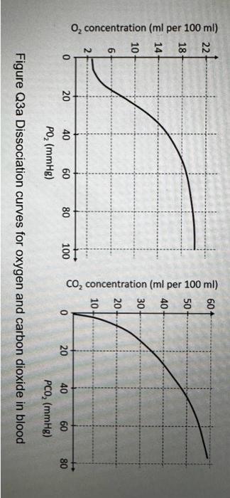 Solved O2 concentration (ml per 100ml ) CO2 concentration ( | Chegg.com