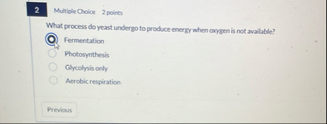 Solved 2 ﻿Multiple Choice 2 ﻿pointsWhat process do yeast | Chegg.com