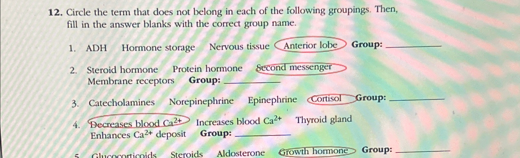Solved Circle the term that does not belong in each of the | Chegg.com