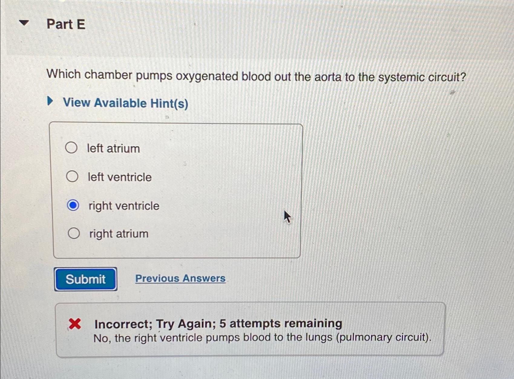 Solved Part EWhich chamber pumps oxygenated blood out the | Chegg.com