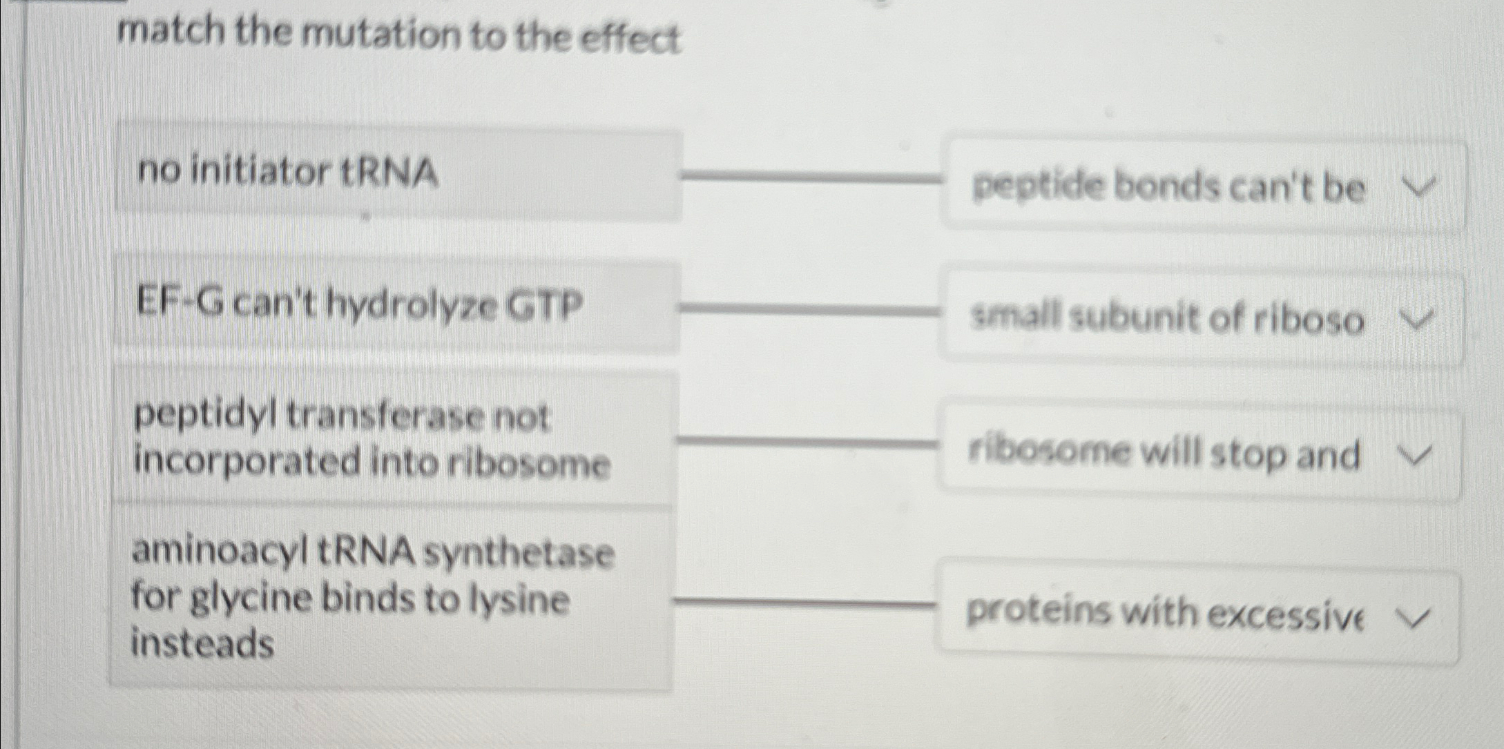 Solved match the mutation to the effectno initiator tRNA | Chegg.com