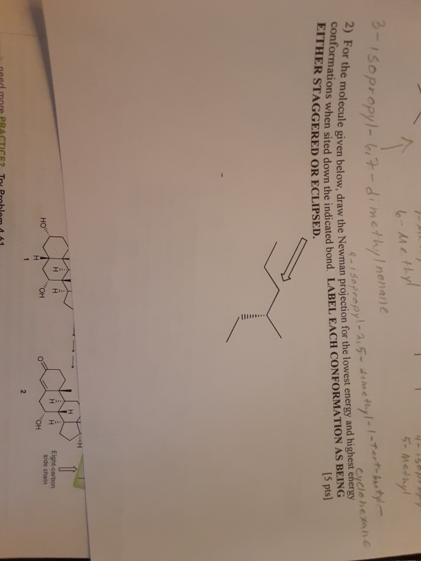 Solved 6-Methyl 5-Methyl I nonane ma | Chegg.com