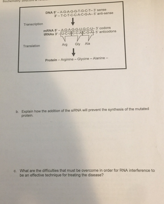 Solved 4. A type of gene therapy called RNA interference | Chegg.com