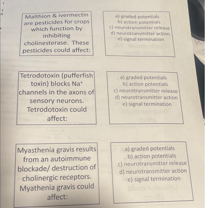 Solved Multiple sclerosis a) graded potentials (MS) is the | Chegg.com