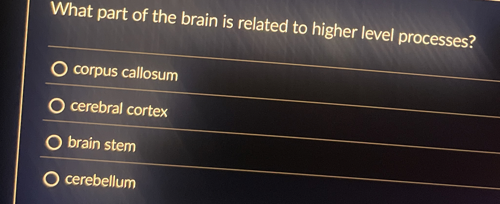 Solved What part of the brain is related to higher level | Chegg.com