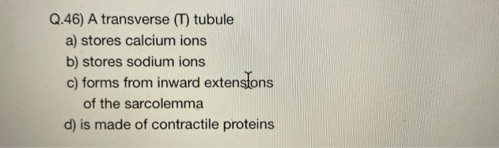 Solved Q.46) A transverse (T) tubule a) stores calcium ions | Chegg.com