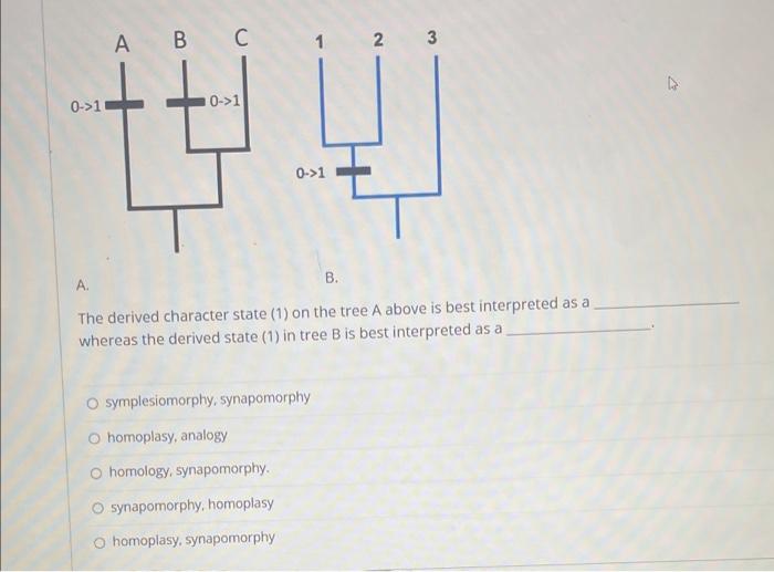 Solved The derived character state (1) on the tree A above | Chegg.com