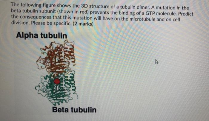 Solved The following figure shows the 3D structure of a | Chegg.com